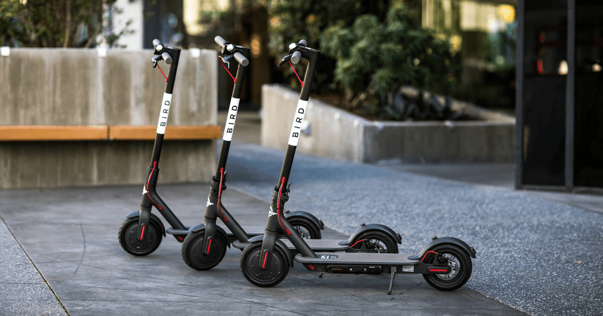 Bird Referral Code & Invite Link - doRefer